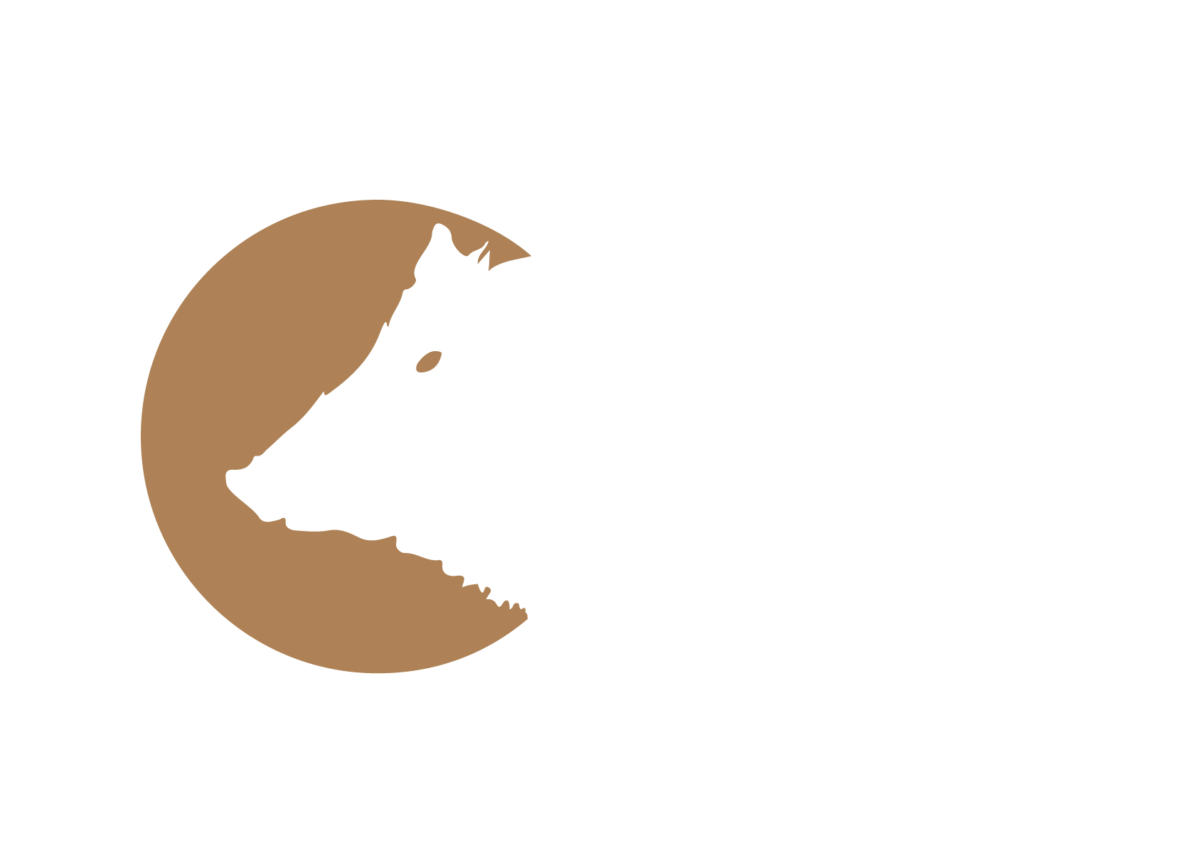 Cap Chasse | Armurerie française, Chasse et tir sportif